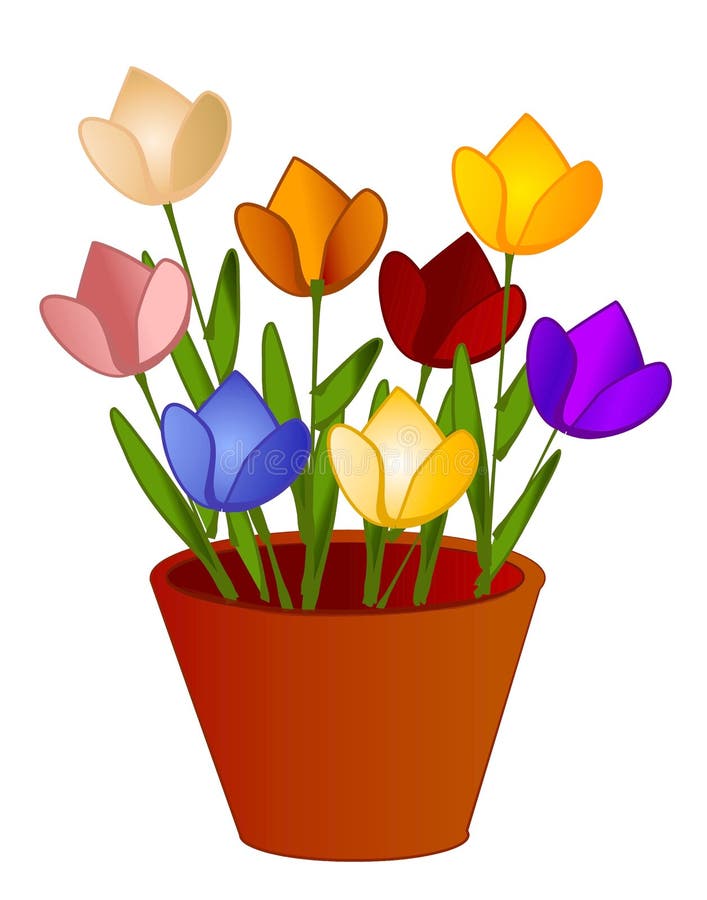 Isolated Tulips Flowers in Pot Stock Illustration - Illustration of ...