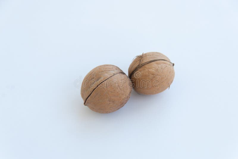 Isolated Two Walnuts on White Background Closeup Stock Photo - Image of ...