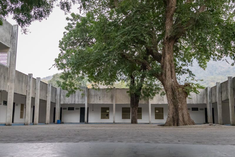 Isolated Vacant Building with Big Tree at the Center at Day from Flat ...