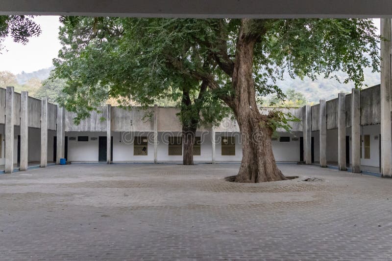 Isolated Vacant Building with Big Tree at the Center at Day from Flat ...