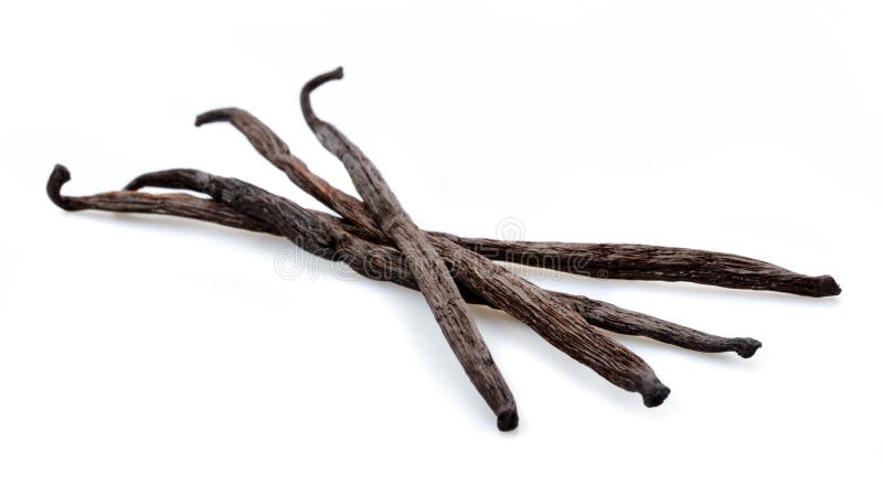 Vanilla pods stock image. Image of plant, scent, nature - 17591463