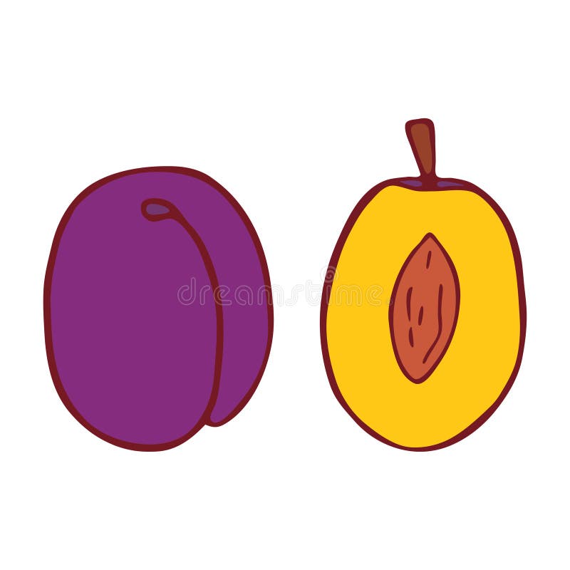 Isolated vector flat plum stock vector. Illustration of doodle - 148467321