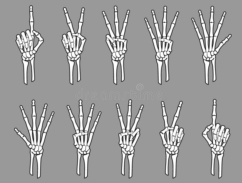 Skeleton Hand Numbers Sign 1 To 5 Stock Illustration - Illustration of ...