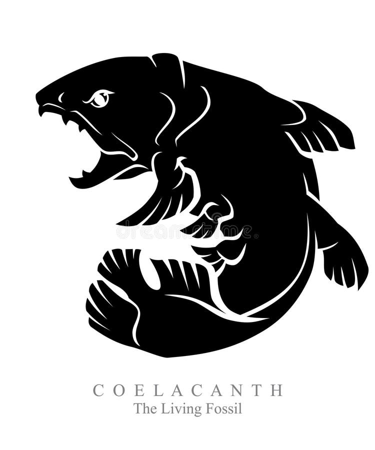 Fish Coelacanth Stock Illustrations – 113 Fish Coelacanth Stock ...