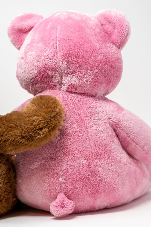 Isolated Vertical Closeup Shot of a Pink Teddy Bear from the Back Stock ...