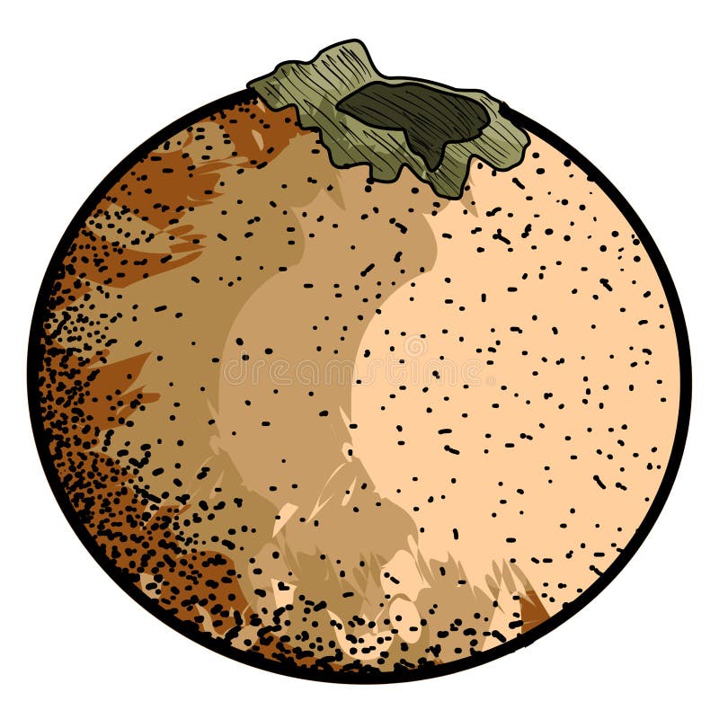 Lulo Stock Illustrations – 94 Lulo Stock Illustrations, Vectors ...