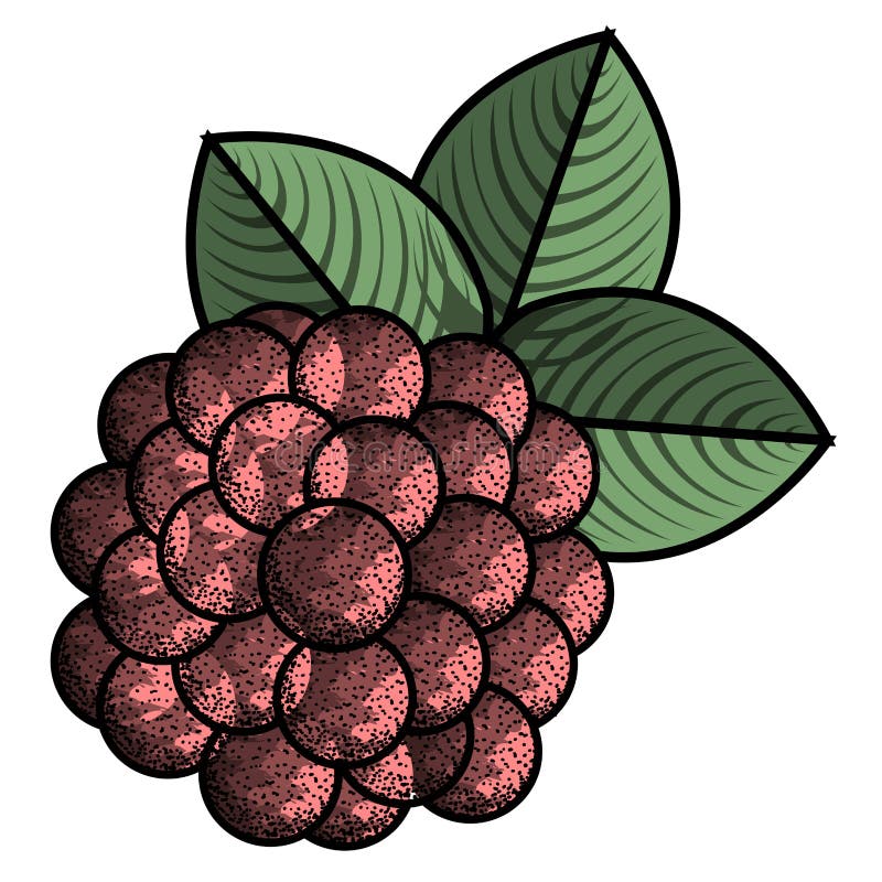 Isolated vintage label stock illustration. Illustration of premium ...