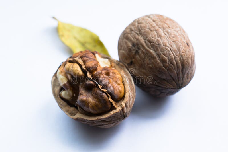 Isolated walnuts stock image. Image of closeup, delicious - 128244441
