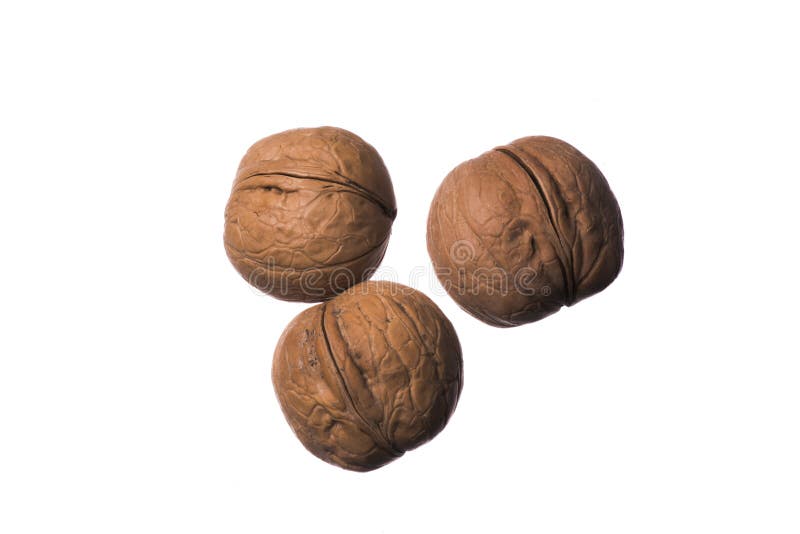Isolated walnuts stock image. Image of closeup, delicious - 128244441