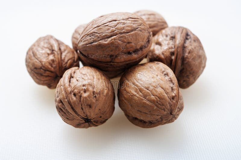 Isolated walnuts stock image. Image of closeup, delicious - 128244441