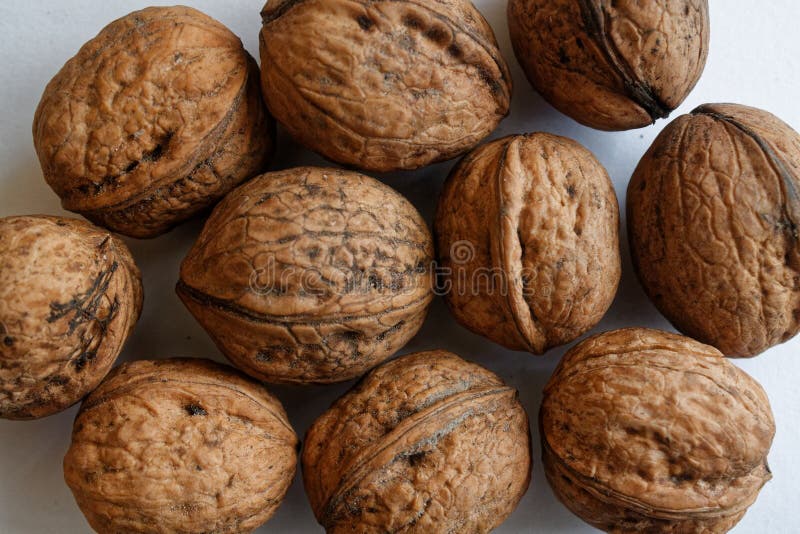 Isolated walnuts stock image. Image of closeup, delicious - 128244441