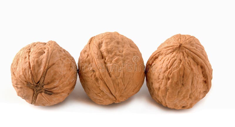 Isolated walnuts stock image. Image of closeup, delicious - 128244441