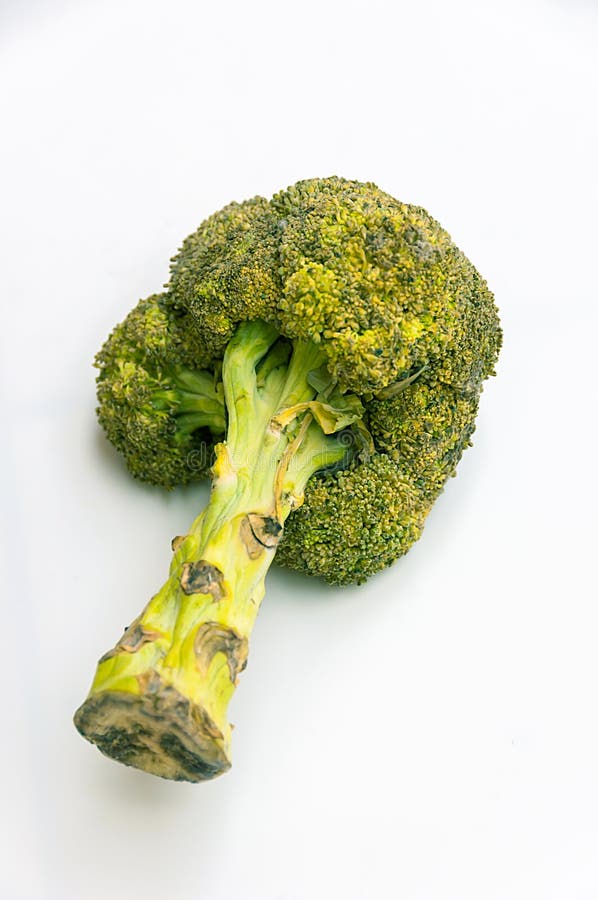 Rotten Broccoli Photos - Free & Royalty-Free Stock Photos from Dreamstime