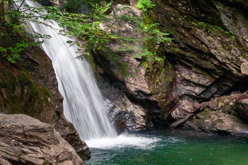 Isolated Waterfall in Rocky Pool with Green Foliage Stock Image - Image ...