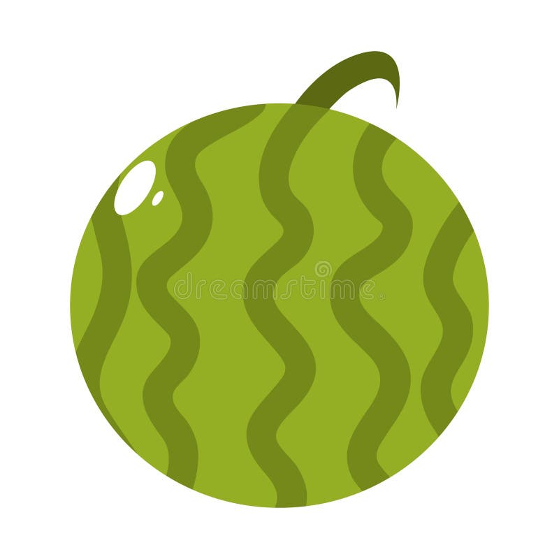 Isolated watermelon icon stock vector. Illustration of isolated - 213660727