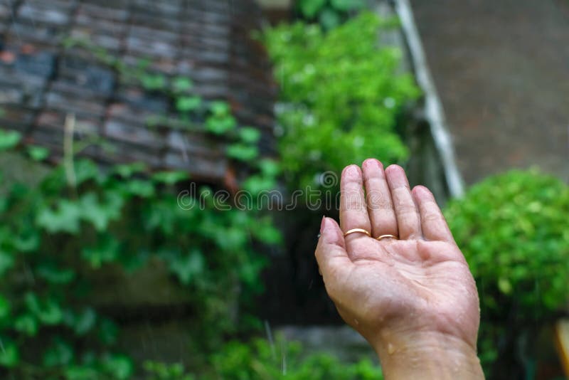 331 Rain Water Falling Hands Stock Photos - Free & Royalty-Free Stock ...