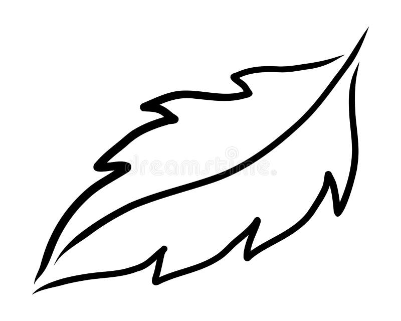 ISOLATED on a WHITE BACKGROUND CONTOUR DRAWING of a PLANT LEAF Stock ...