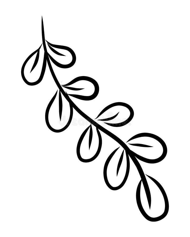 ISOLATED on a WHITE BACKGROUND CONTOUR DRAWING of a PLANT LEAF Stock ...