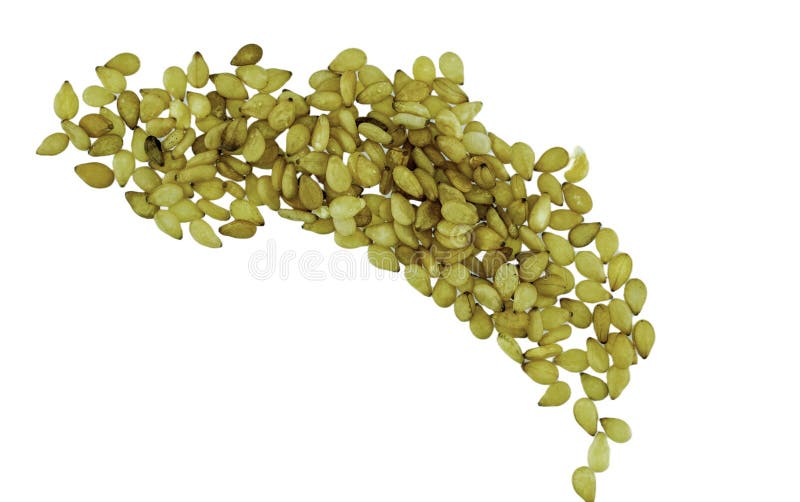 Isolated on White Background Files for All Purposes. Stock Photo ...