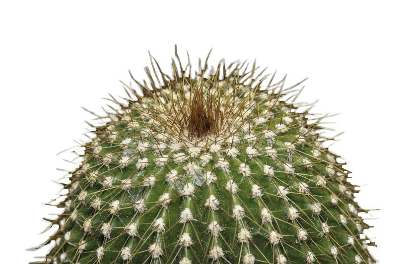 Isolated on White Background Files for All Purposes Stock Photo - Image ...