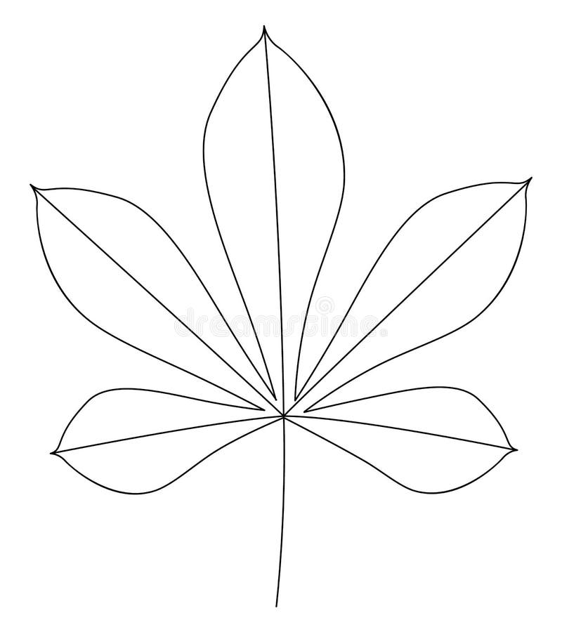 Leaf of Chestnut Tree. Thin Line Art. Stock Vector - Illustration of ...