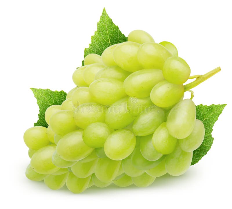 Isolated White Grapes. Bunch of Thompson Seedless Grapes with Leaves ...