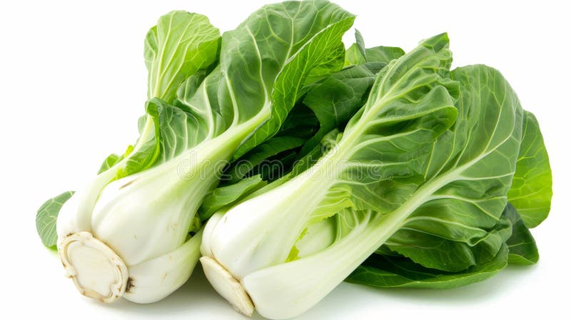 Isolated White Pak Choy (chinese Cabbage) Stock Image - Image of choi ...