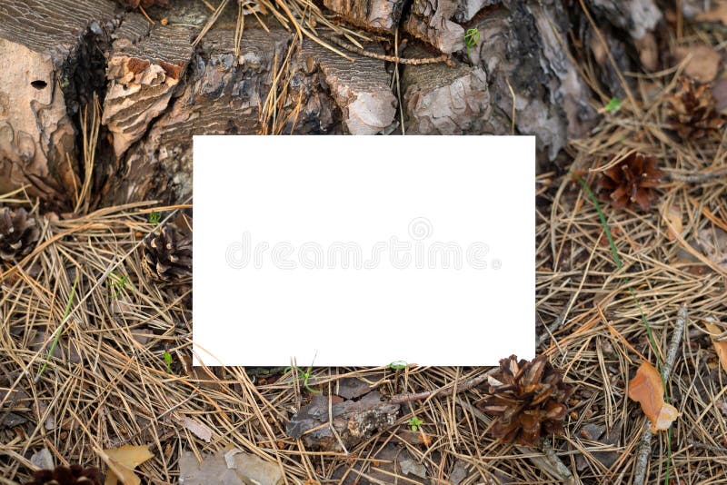 Paper with Inscription GDP on Barley Grain Stock Photo - Image of pearl ...