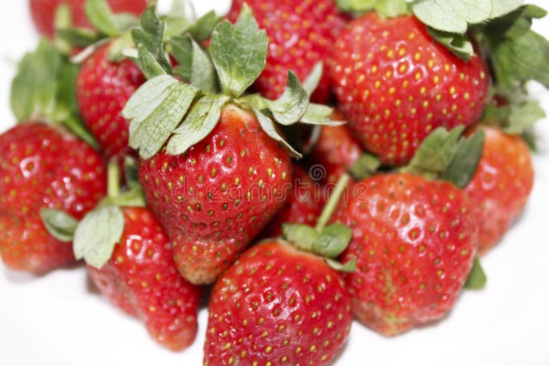 Isolated White Red Strawbery Stock Photo - Image of dish, white: 350398022