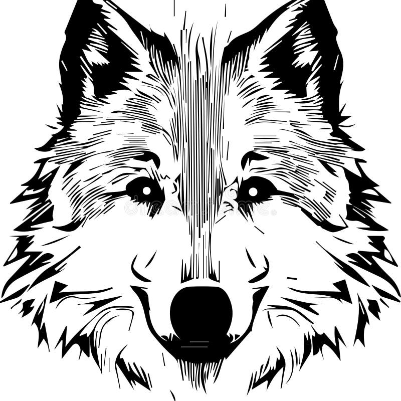 Isolated Wolf Face Vector Illustration Stock Illustration ...