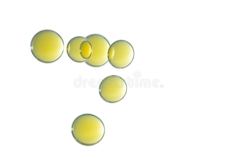Yellow Bubbles in a Beautiful Pattern Stock Image - Image of essential ...