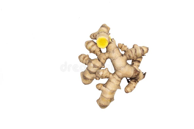 Isolated Yellow Ginger or Turmeric Stock Image - Image of vegetables ...