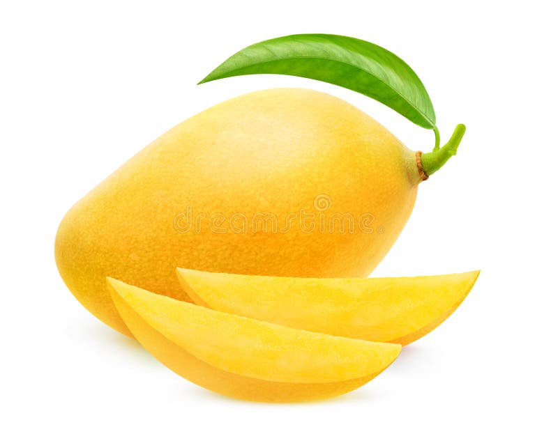 Isolated yellow mango stock photo. Image of leaves, organic - 157338796
