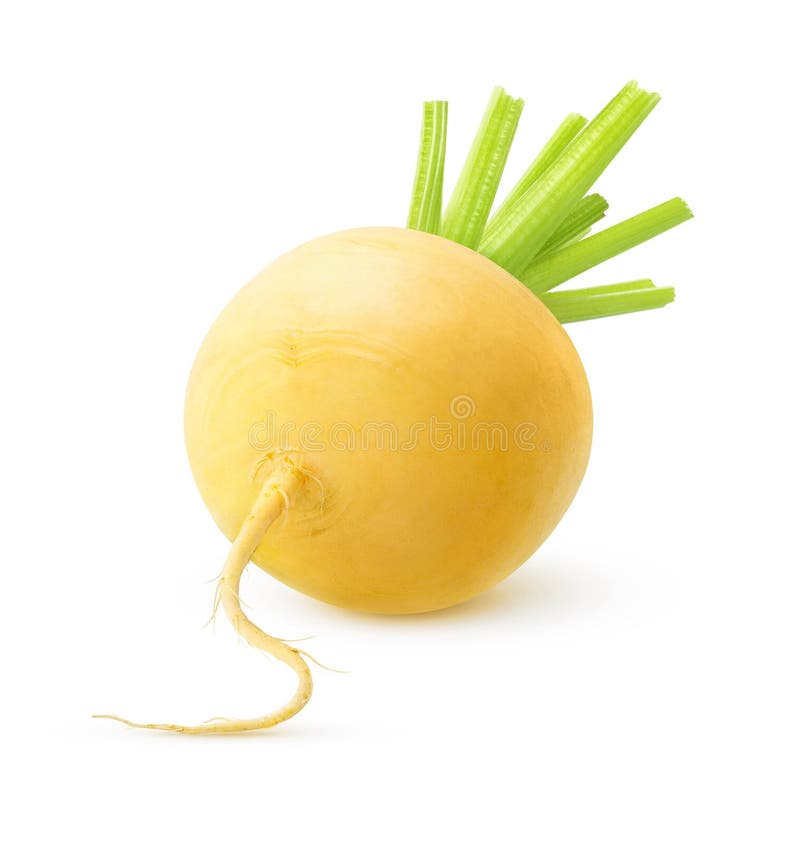 Isolated yellow turnip stock photo. Image of stem, background - 248284658
