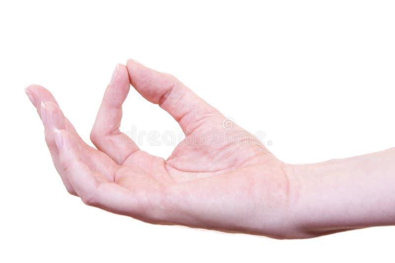 Isolated yoga hand stock photo. Image of isolated, physical - 5099546