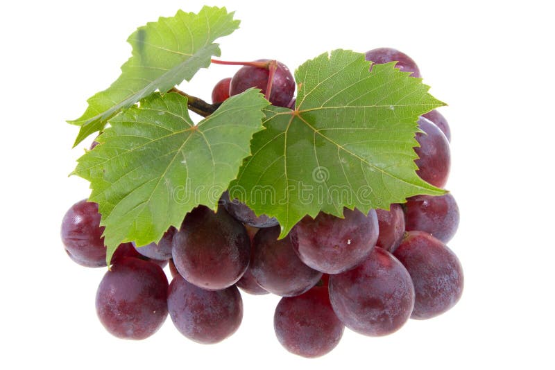 Isolerad druva fotografering för bildbyråer. Bild av frukt - 23236383