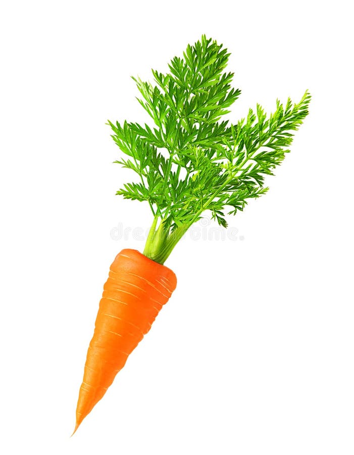 Morot isolerad arkivfoto. Bild av morot, sunt, nytt, brigham - 32901520