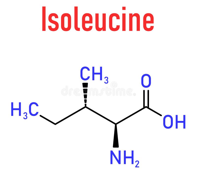 Isoleucine, L-isoleucine, Ile, I Amino Acid Molecule. Skeletal Formula ...