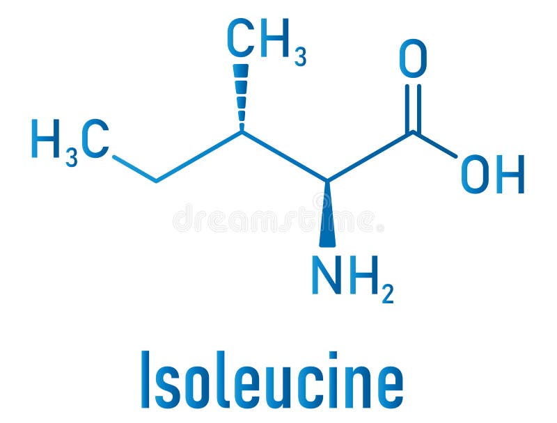 Isoleucine, L-isoleucine, Ile, I Amino Acid Molecule. Skeletal Formula ...