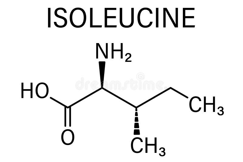 Isoleucine, L-isoleucine, Ile, I Amino Acid Molecule. Skeletal Formula ...