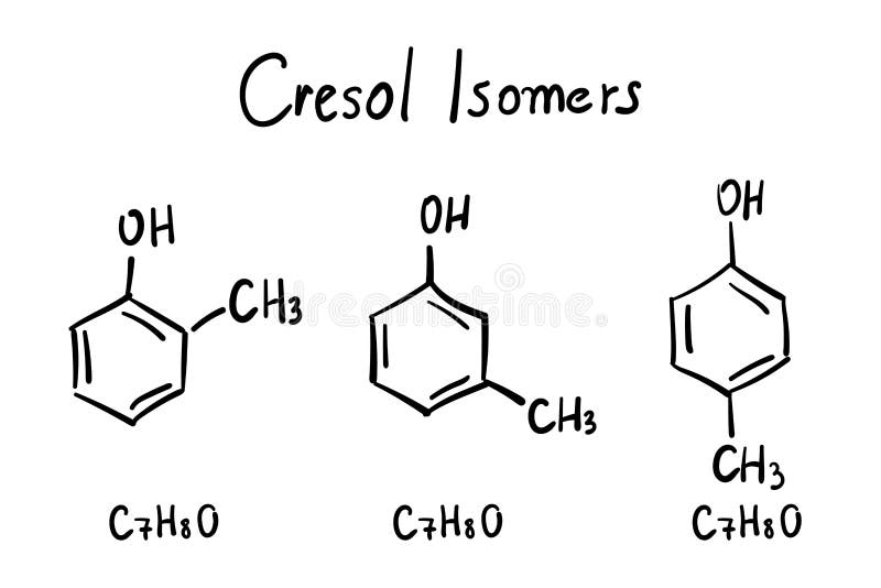 Isomers of Cresol Molecule Formula Hand Drawn Imitation Stock Vector ...