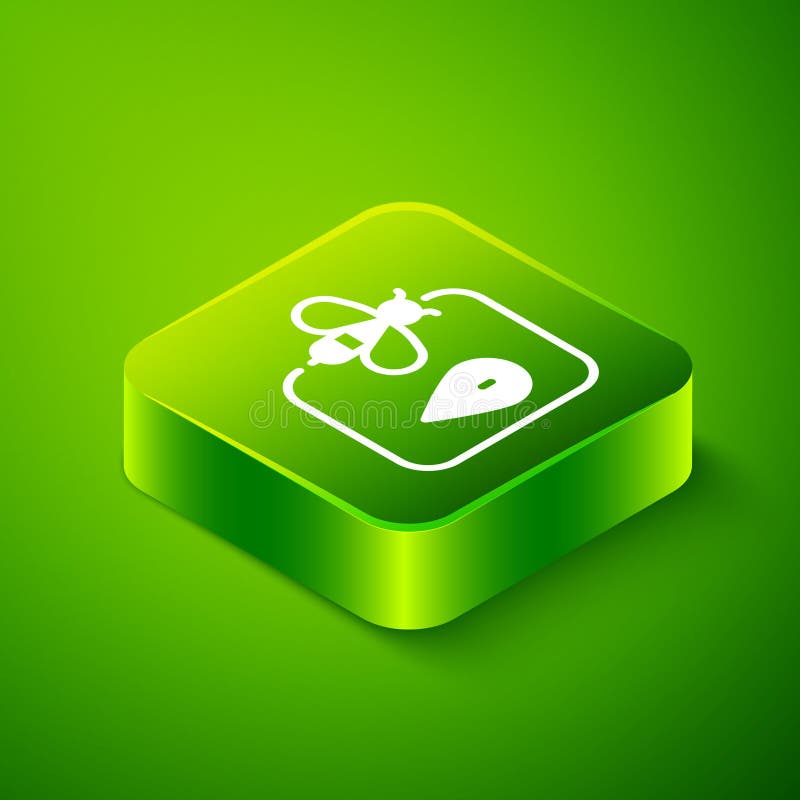 Isometric Bee Location Map Pin Pointer Icon Isolated on Green ...
