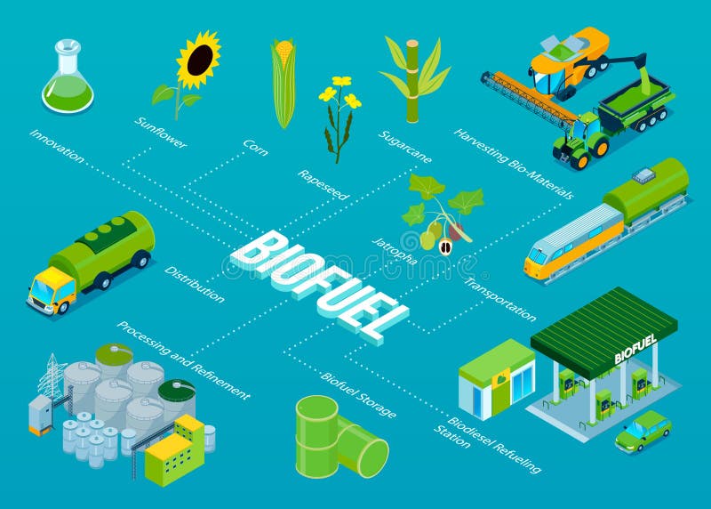 Isometric Biofuel Energy Flowchart Template Stock Illustration ...