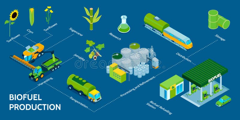 Isometric Biofuel Energy Flowchart Template Stock Illustration ...