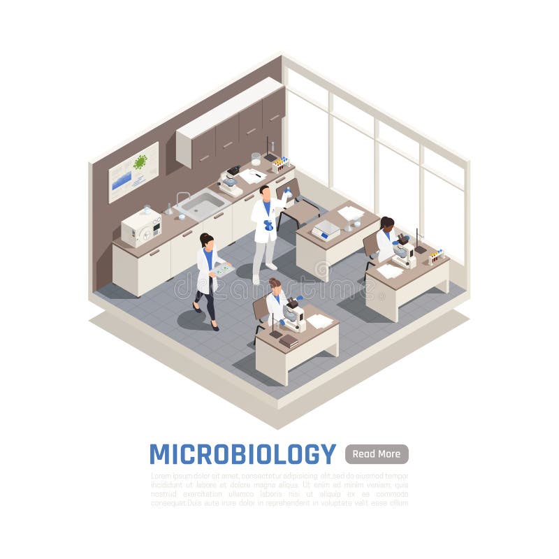 Microbiology Lab Isometric Flowchart Stock Vector - Illustration of ...