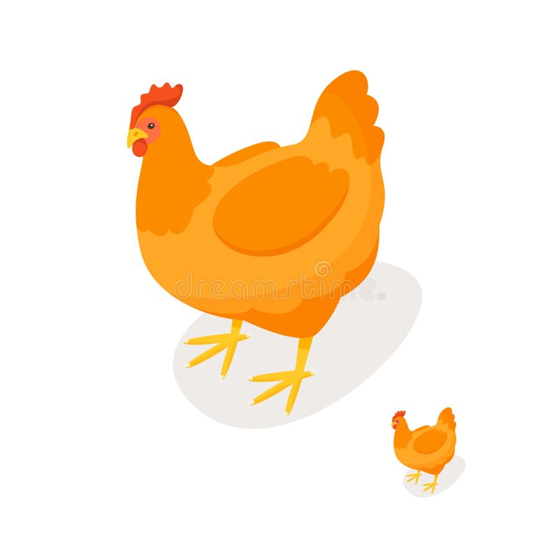 Chicken Vector Front Stock Illustrations – 1,256 Chicken Vector Front ...