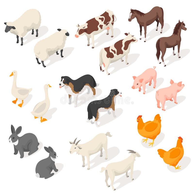 Farm animal collection set stock vector. Illustration of bunny - 45726936