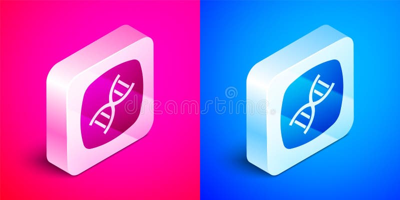 Isometric DNA Symbol Icon Isolated on Pink and Blue Background. Silver ...