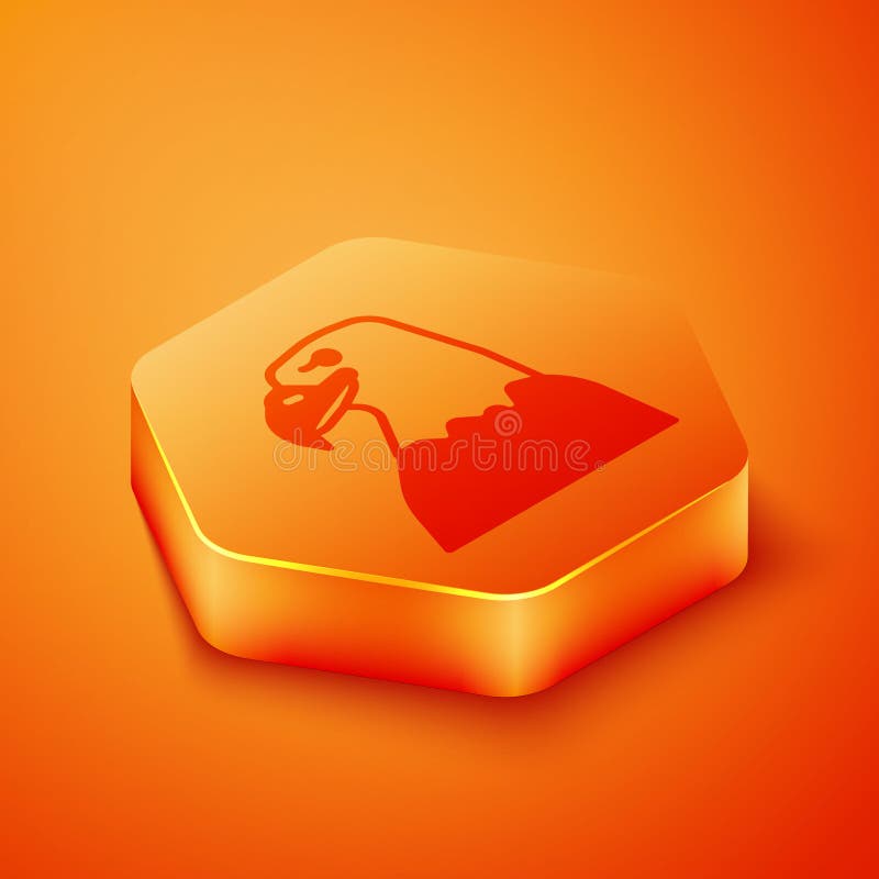 Hexagon Eagle Head Logo Design Template Stock Vector - Illustration of ...