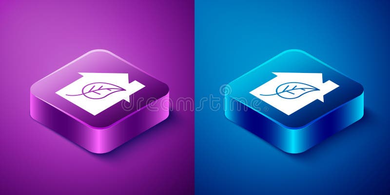 Isometric Eco Friendly House Icon Isolated on Blue and Purple ...